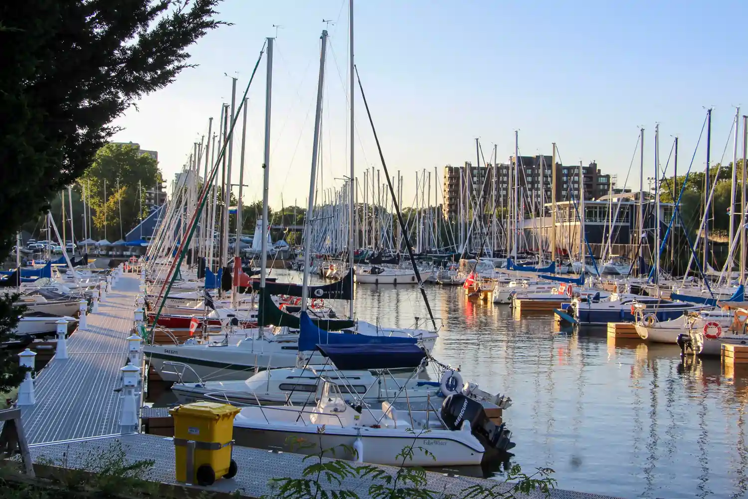 About Kane Law: Experienced Legal Team in Oakville, Ontario